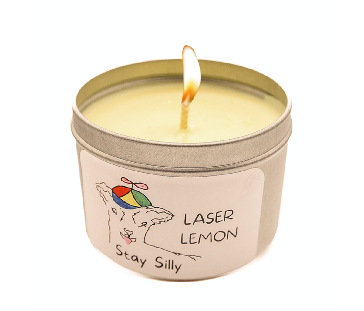 Stay Silly - Laser Lemon Stay Kiddish Candle – Songlines By Jewel